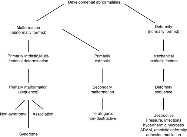 Congenital Abnormalities | SpringerLink