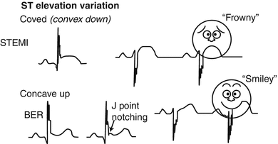 Cardiology | SpringerLink