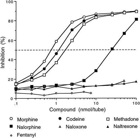 Opioid Analgesic Drugs | SpringerLink