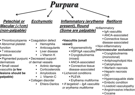 Purpura | SpringerLink