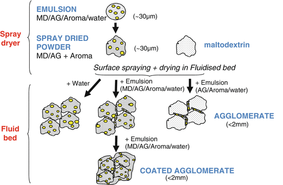 Aroma Encapsulation in Powder by Spray Drying, and Fluid Bed ...