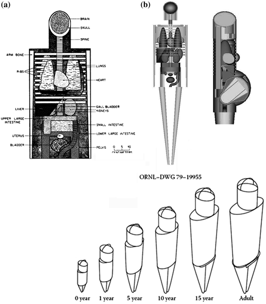 Nuclear Medicine and PET Phantoms | SpringerLink
