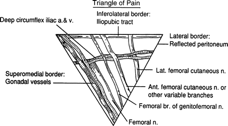 Abdominal Wall and Hernias | SpringerLink