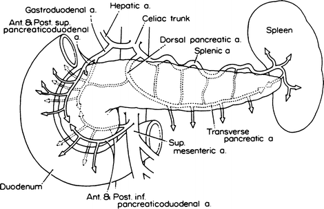 Duodenum | SpringerLink