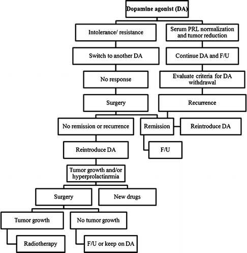 Hyperprolactinemia | SpringerLink