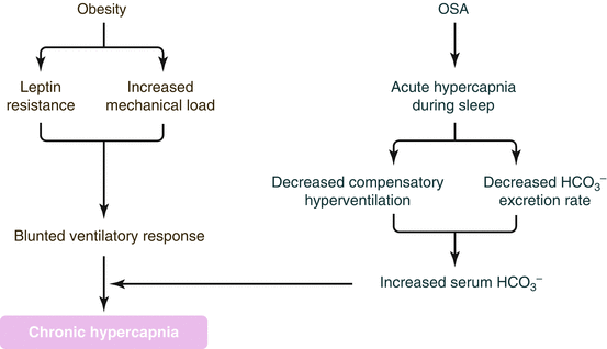 Obesity Hypoventilation Syndrome | SpringerLink