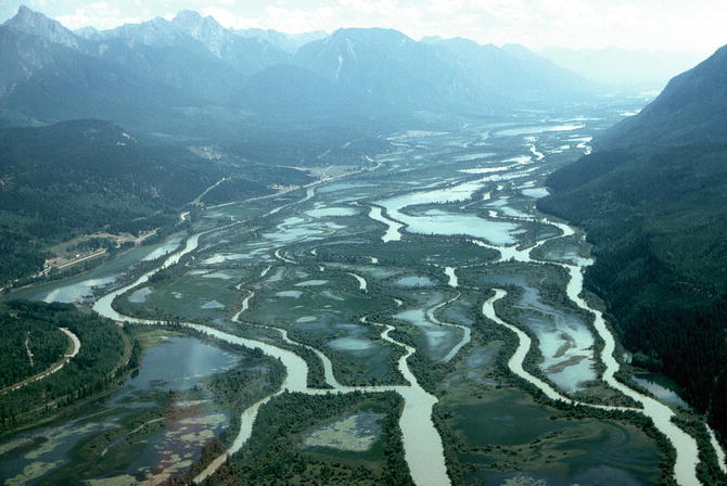 Anastomosing Pattern | SpringerLink