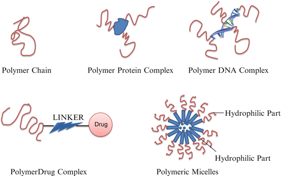 Polymer–Drug Conjugate in Focal Drug Delivery | SpringerLink