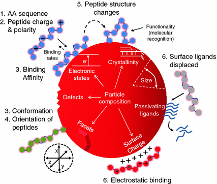 Peptide-Nanoparticle Strategies, Interactions, and Challenges ...