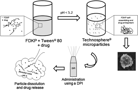 Technosphere®: An Inhalation System for Pulmonary Delivery of Biopharmaceuticals | SpringerLink
