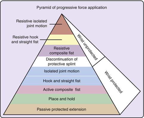 Rehabilitation Following Replantation in the Upper Extremity | SpringerLink
