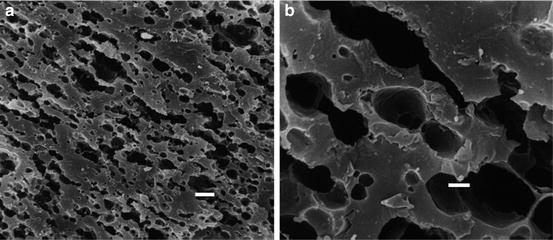 Cheese: Structure, Rheology and Texture | SpringerLink