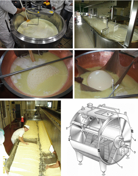 Overview of Cheese Manufacture | SpringerLink