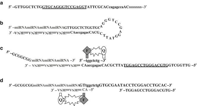 Stem-Loop qRT-PCR for the Detection of Plant microRNAs | SpringerLink