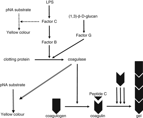 LPS Quantitation Procedures | SpringerLink