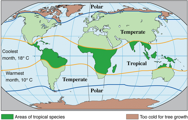 Continental Types and Their Controls | SpringerLink