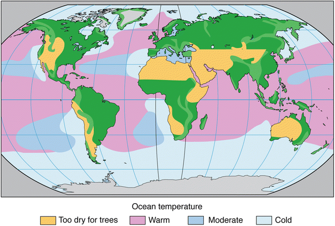 Continental Types and Their Controls | SpringerLink