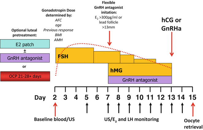 GnRH Antagonist-Based Protocols for In Vitro Fertilization | SpringerLink