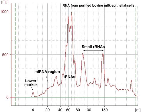 mRNA and microRNA Purity and Integrity: The Key to Success in ...