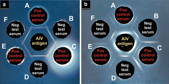 Agar Gel Immunodiffusion Assay to Detect Antibodies to Type A Influenza ...
