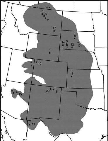 The Black-Footed Ferret: On the Brink of Recovery? | SpringerLink