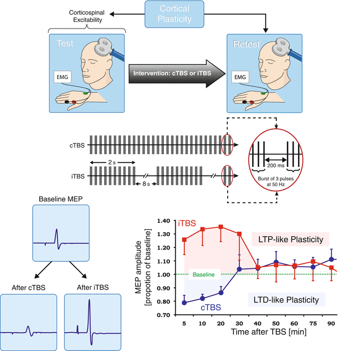 Repetitive Transcranial Magnetic Stimulation (rTMS) Protocols ...