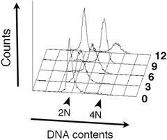Cell Cycle Synchronization and Flow Cytometry Analysis of Mammalian Cells | SpringerLink