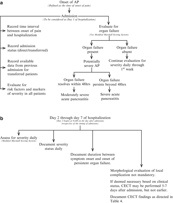 Revised Atlanta Classification of Acute Pancreatitis | SpringerLink