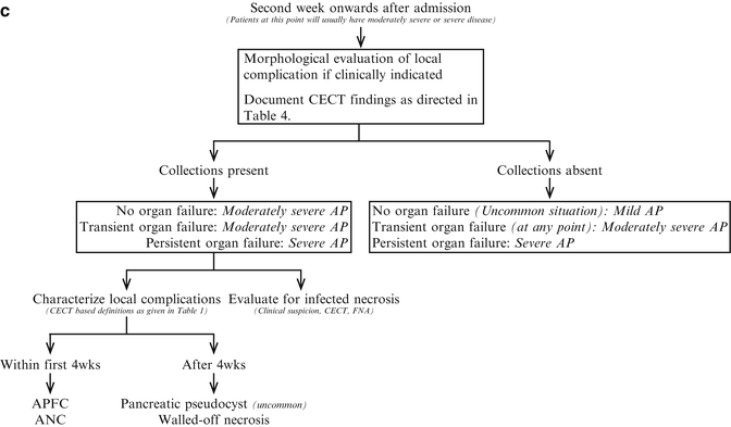 Revised Atlanta Classification of Acute Pancreatitis | SpringerLink
