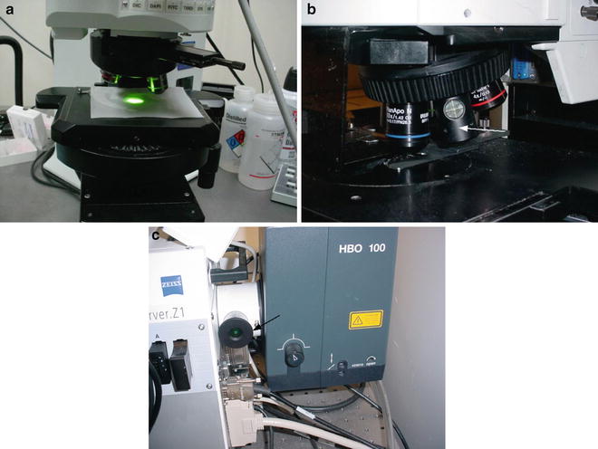 Light Microscope Alignment Methods | SpringerLink