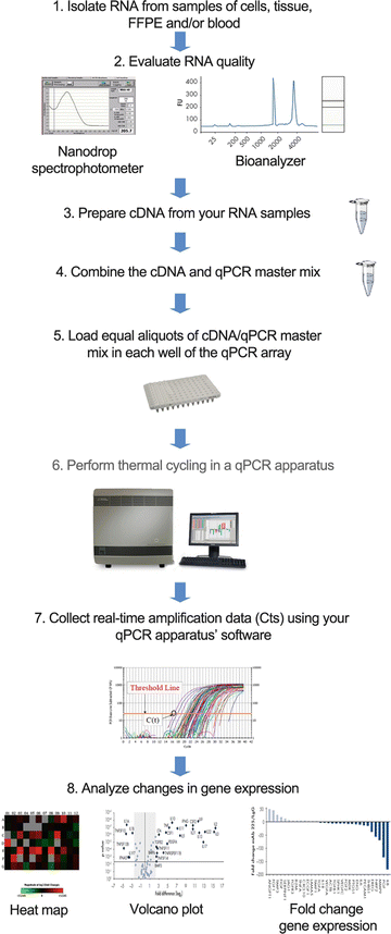 SYBR® Green and TaqMan® Quantitative PCR Arrays: Expression Profile of ...