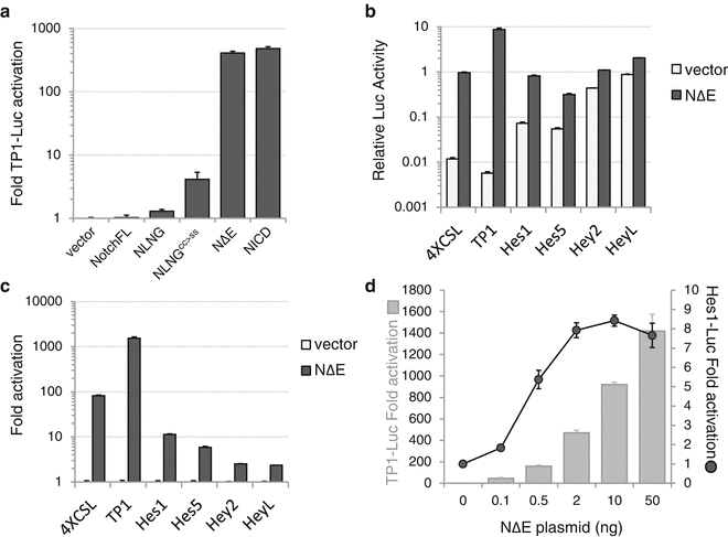 Monitoring Notch Activation in Cultured Mammalian Cells ...