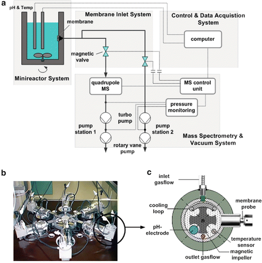 Dynamic Analysis of CO2 Labeling and Cell Respiration Using Membrane ...