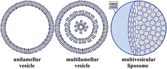 Bioequivalence for Liposomal Drug Products | SpringerLink