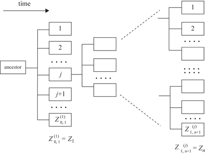 The Galton–Watson Process | SpringerLink