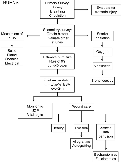 Burns | SpringerLink