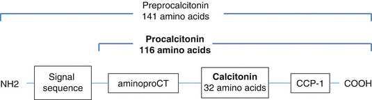 Host Response Biomarkers in Sepsis: The Role of Procalcitonin ...