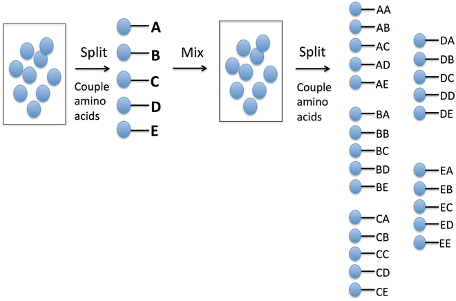 Synthesis and Cell-Based Screening of One-Bead-One-Compound Peptide ...
