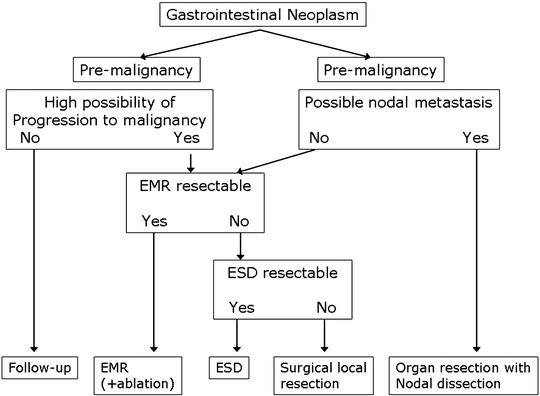 Indications of ESD in the Upper Gastrointestinal Tract | SpringerLink
