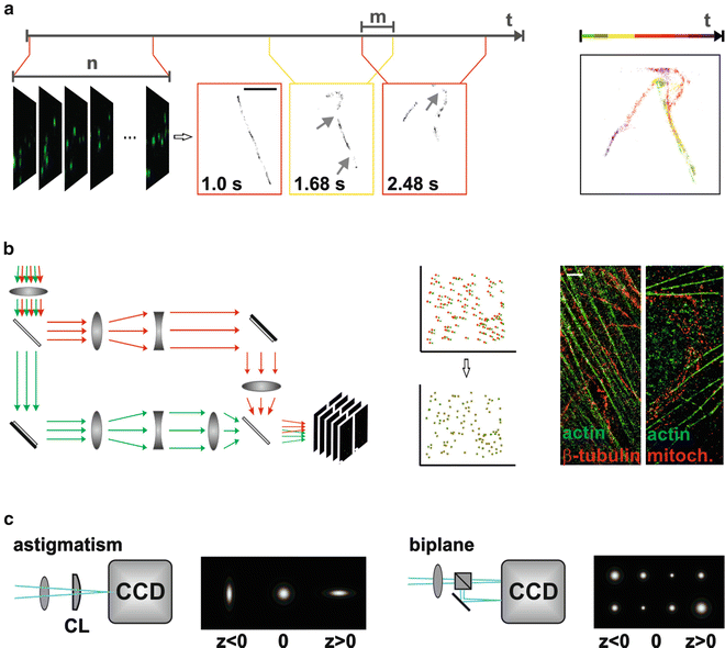 Direct Stochastic Optical Reconstruction Microscopy ( dSTORM ...