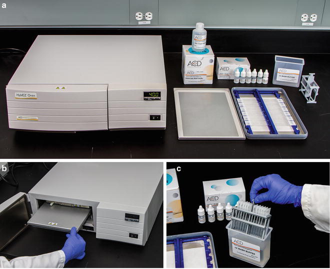 Multiplex Fluorescent RNA In Situ Hybridization Via RNAscope | SpringerLink