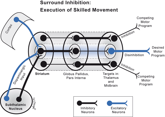 Disorders of the Extrapyramidal System | SpringerLink