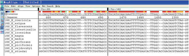 Multiplex PCR Primer Design for Simultaneous Detection of Multiple ...