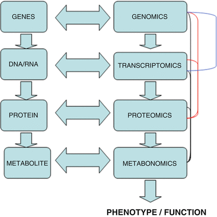 Metabonomics and Drug Development | SpringerLink
