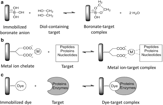 Affinity Chromatography: A Historical Perspective | SpringerLink