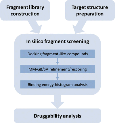 Binding Site Druggability Assessment in Fragment-Based Drug Design | SpringerLink