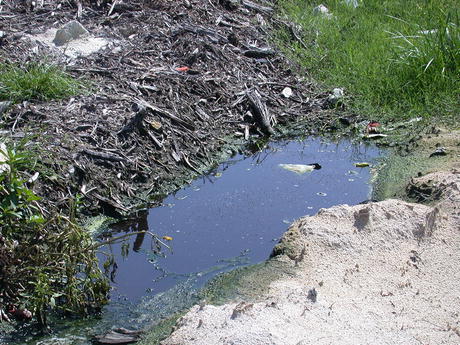 Leachate Control, Storage, and Treatment | SpringerLink