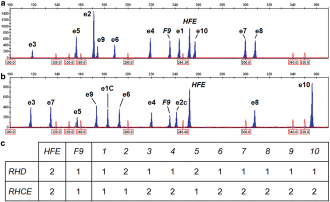 Molecular RHD- RHCE Analysis by Multiplex PCR of Short Fluorescent ...