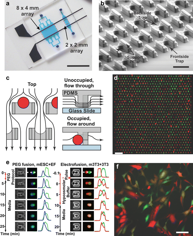 Microfluidic Systems for Cell Pairing and Fusion | SpringerLink