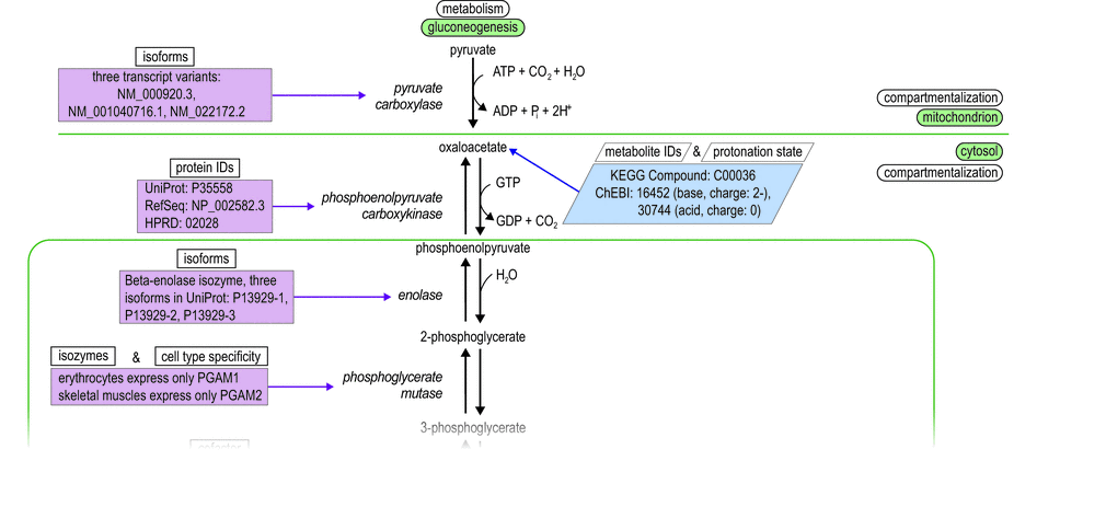 Metabolic Pathway Databases: A Word of Caution | SpringerLink